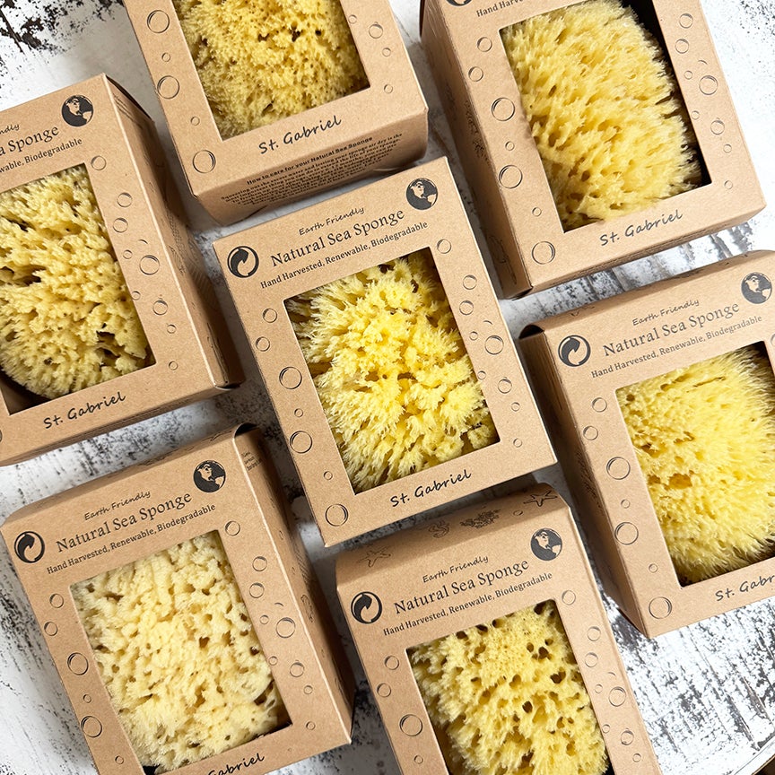 St. Gabriel Natural Sea Sponge | Milk & Sugar Bath Co.